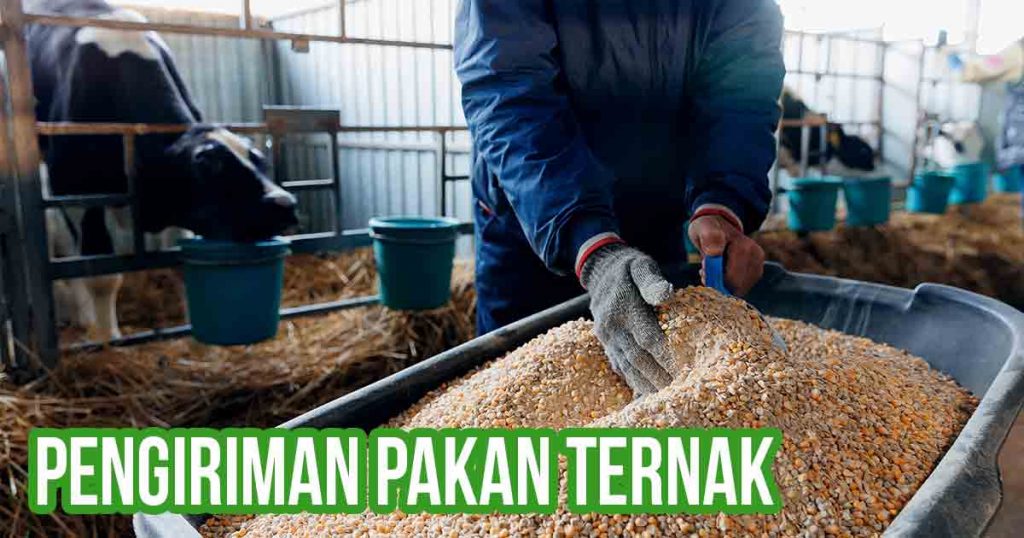 Pengemasan dan Pengiriman Pakan Ternak yang Efektif